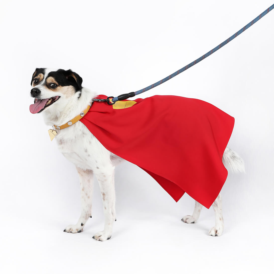 Superman Dog Costume Clark Kent Dog Superman Cape Outfit – Foyacos